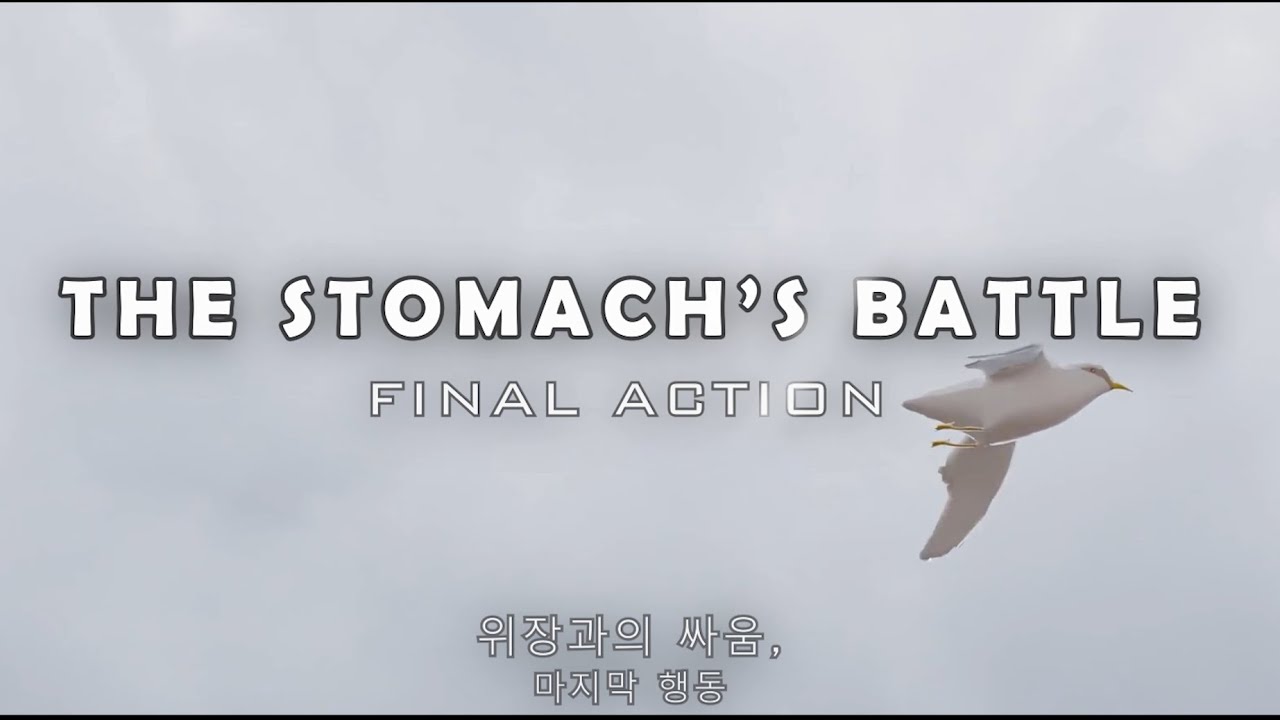 THE STOMACH'S BATTLE - FINAL ACTION MOVIE - YouTube