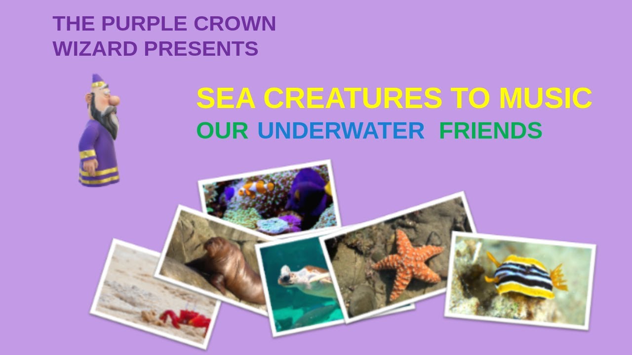 Sea Creatures to Music: Our Underwater Friends - YouTube