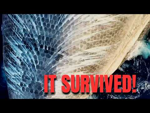Starship Flight 13: Softest Splashdown Ever! Plus, Longest Raptor Relight