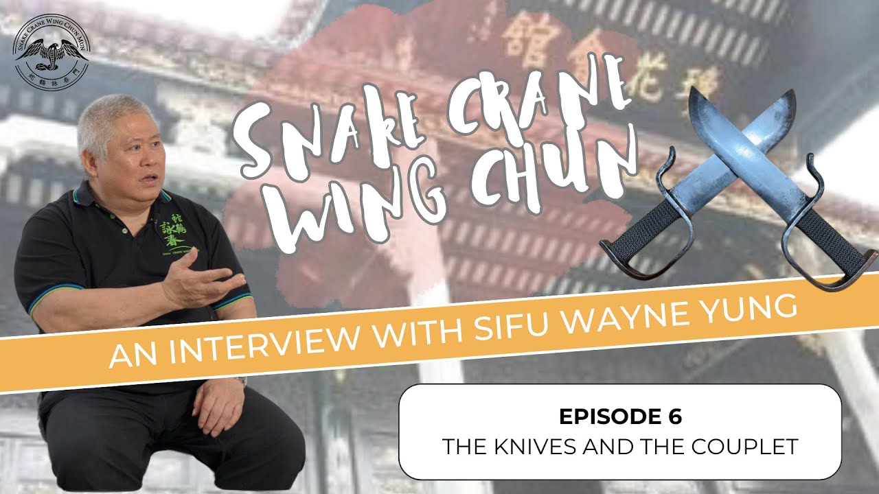 Snake Crane Wing Chun - An Interview with Sifu Wayne Yung (Episode 6 ...