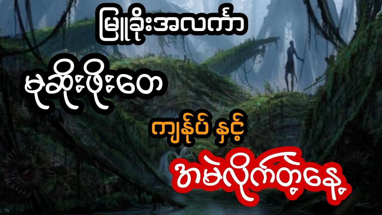 မုဆိုးကြီးဖိုးတေ ကျန်ုပ် နှင့် တောြခောက်ခြင်း စဆုံး Youtube