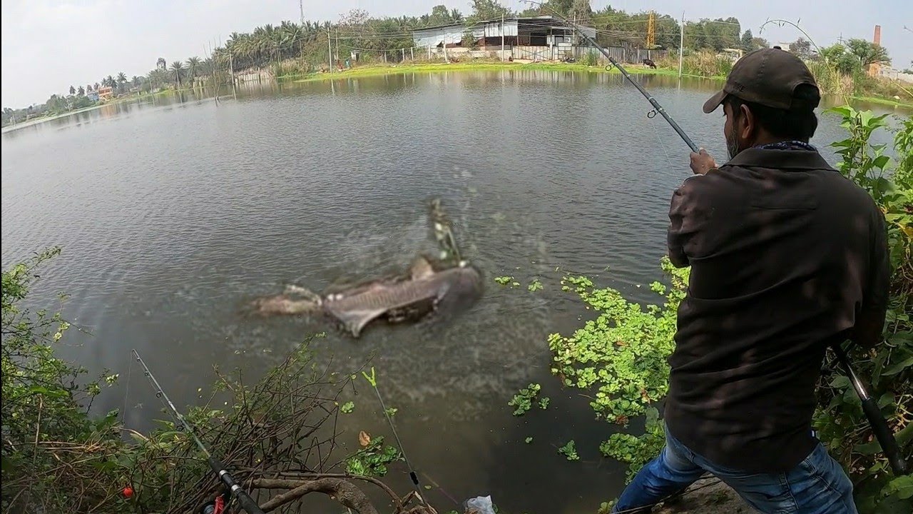 Magic Carp fishing bait || मछली पकड़ने का चारा - YouTube