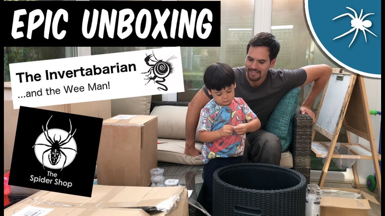 The Spider Shop Unboxing Video - YouTube