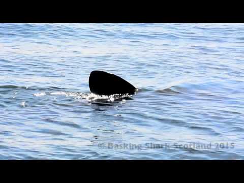 Test Surface Footage - April 2015 - YouTube