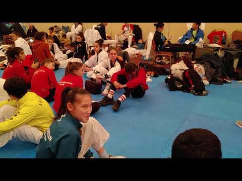 İstanbul Open Taekwondo Yarışı(2)
