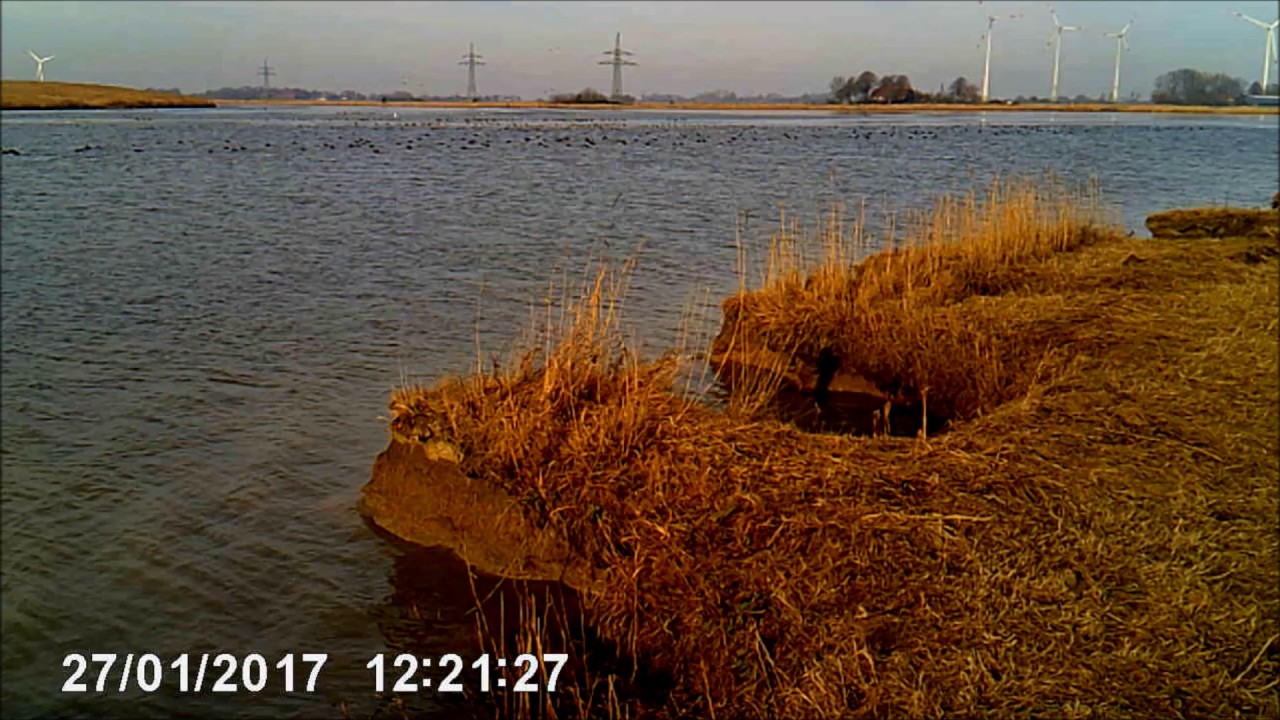 Kleine Wanderung am Wangermeer - Test Rollei Sportsline 65 - YouTube