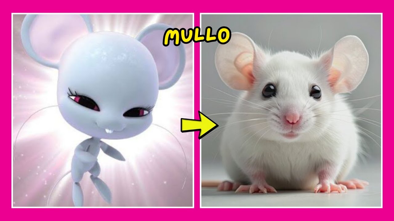 "Miraculous Ladybug Kwamis in Real Life! 🐞 | Live-Action Magic!" - YouTube