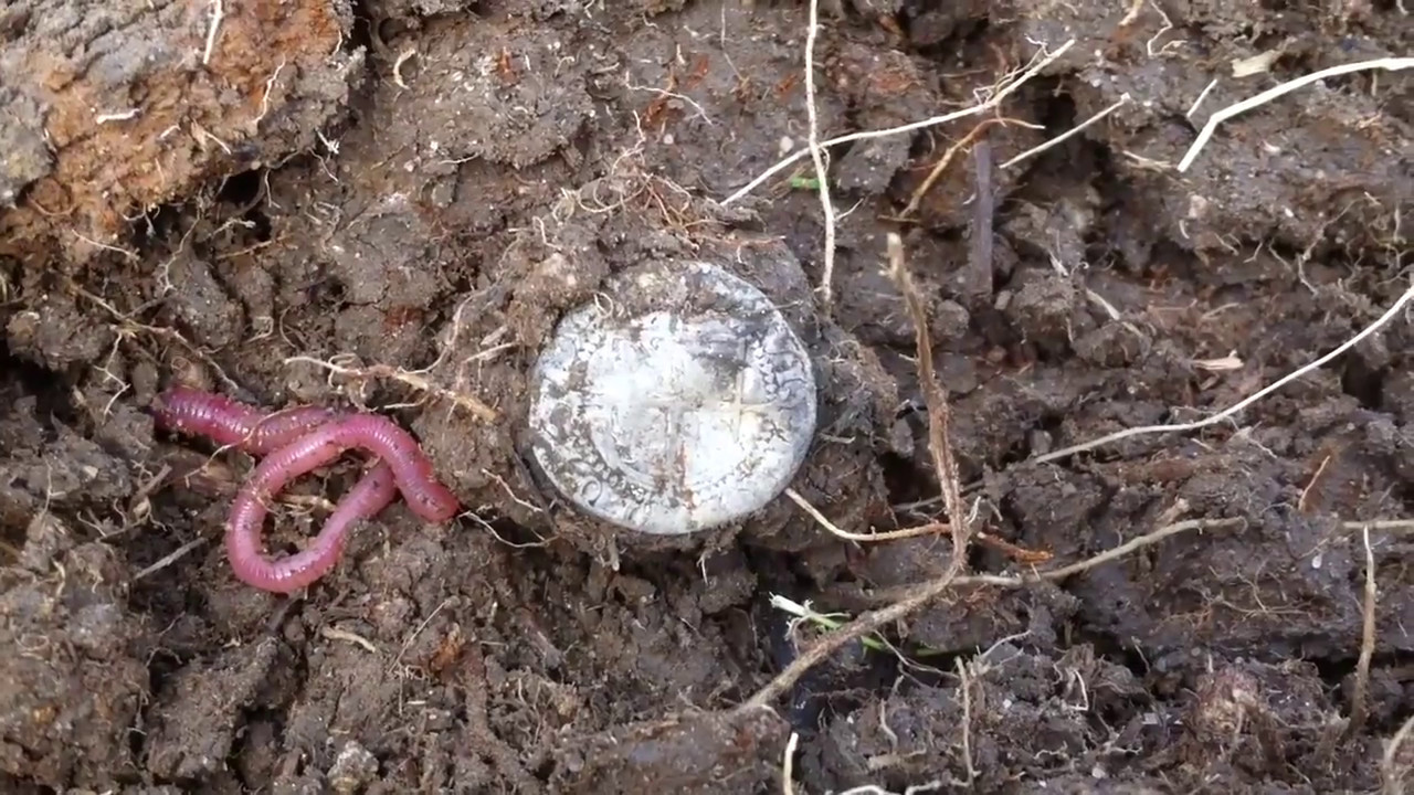 Metal Detecting Liverpool UK#133. Hammered Coin & Silver Bullhead Day ...