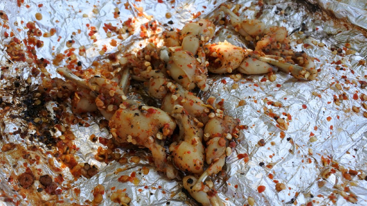 Catch and Cook: Bullfrogs for Frog Legs! (episode #2) - YouTube