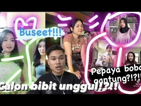 Lato lato pepaya gantung!?!?!!