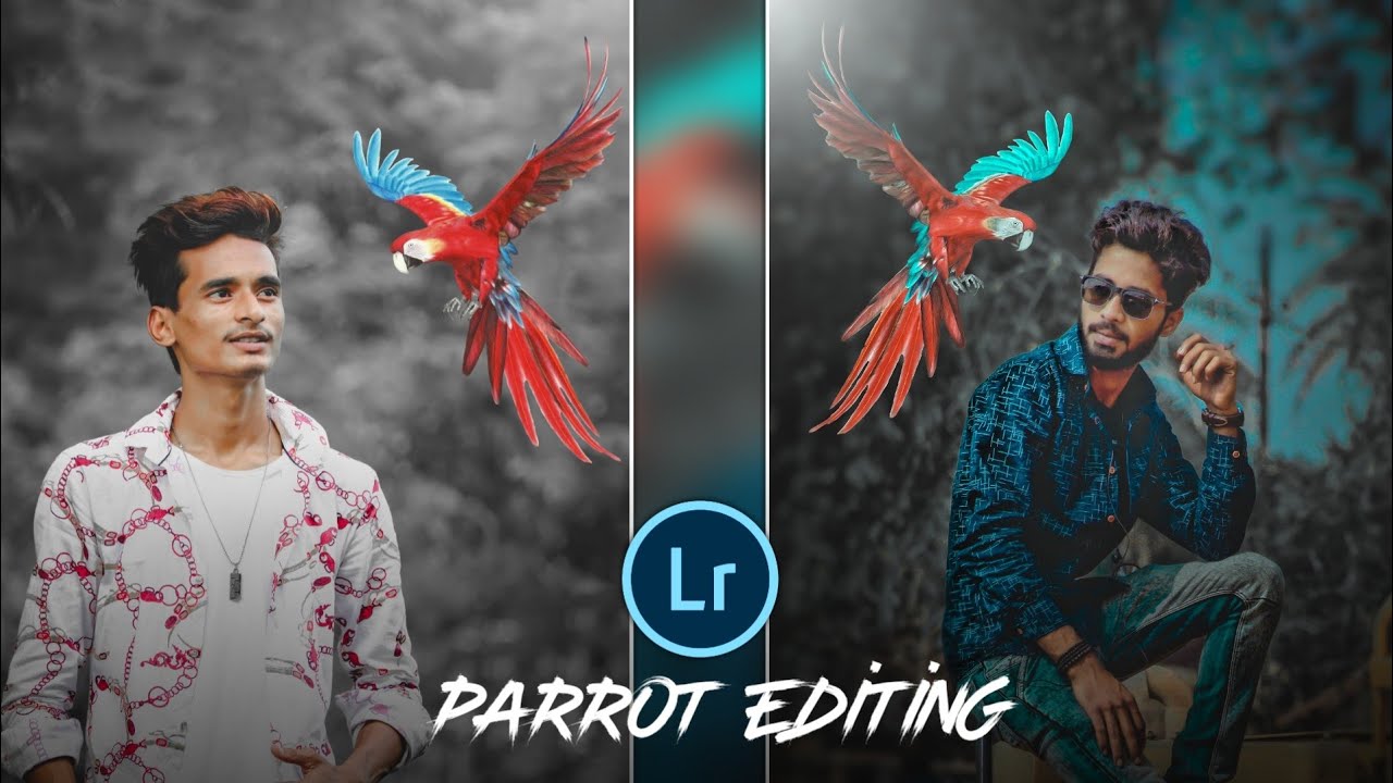 Instagram New Trending DP Editing 🔥|| PicsArt Parrot Photo Editing ...