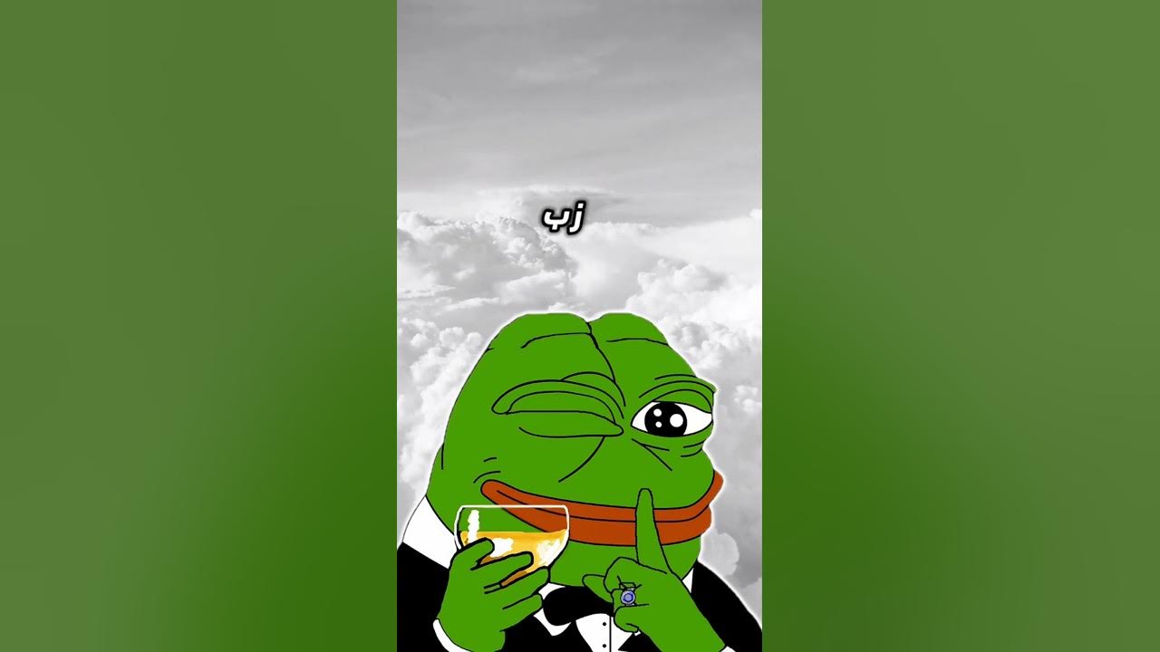 الضفدع الحكيم زبابة زب زب زب Youtube