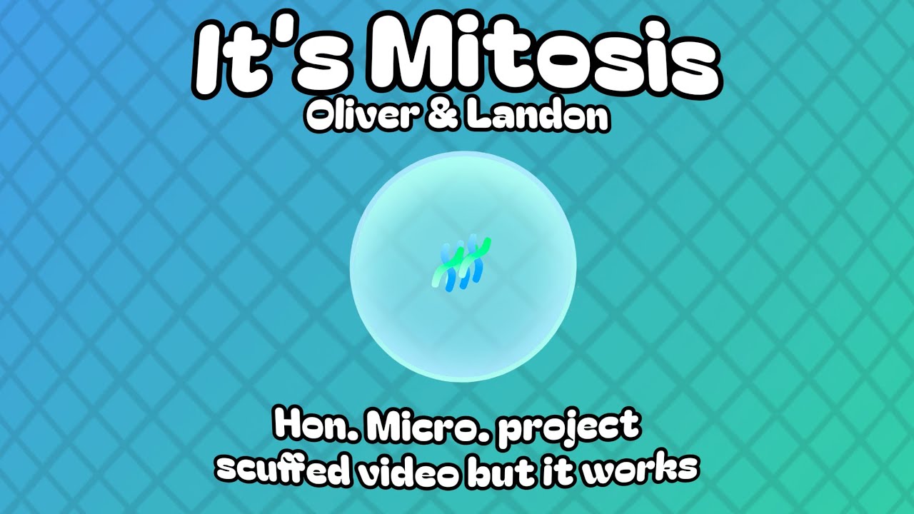 It’s Mitosis - Stages of Mitosis song (Hon. Micro. Project) - YouTube