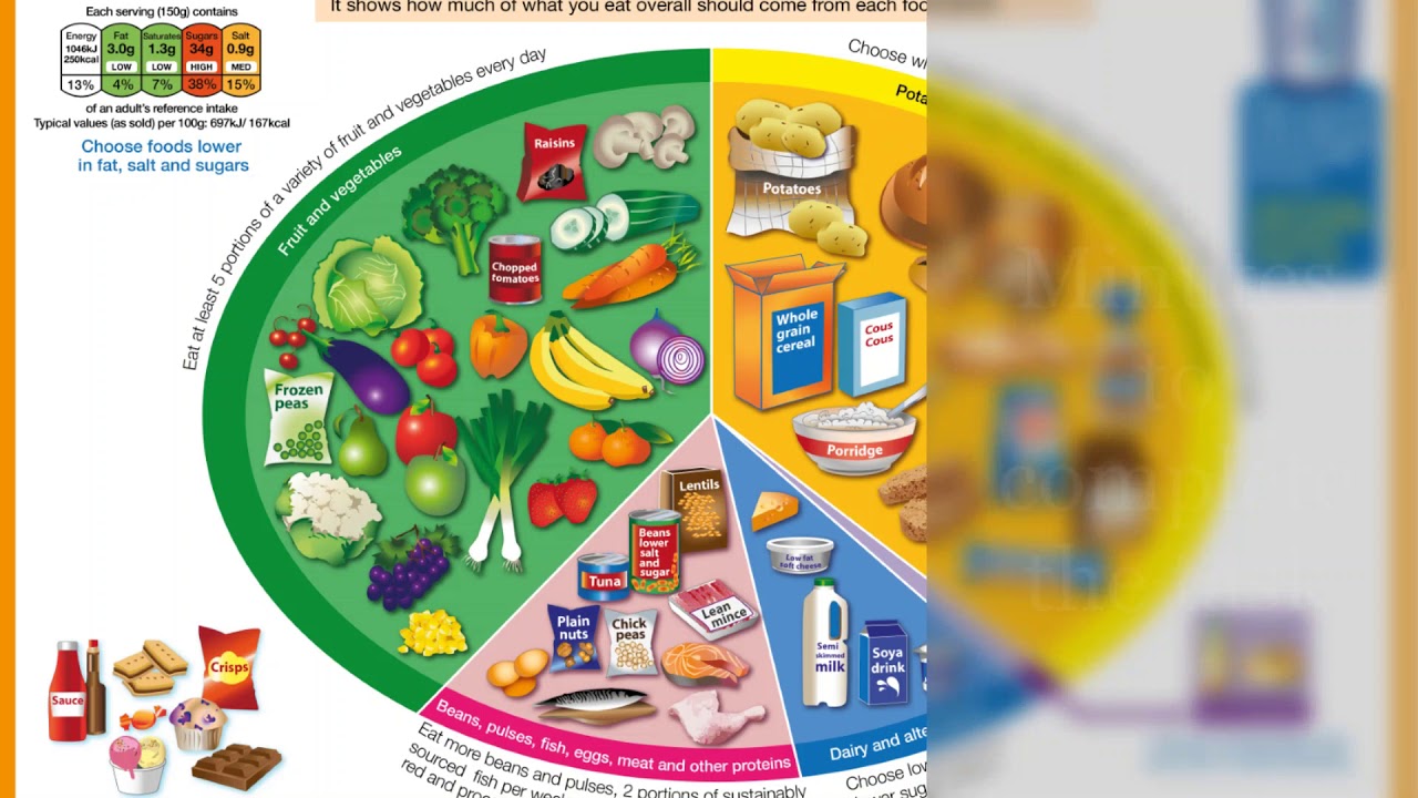 Eatwell Plate and Balanced Diet Task - YouTube