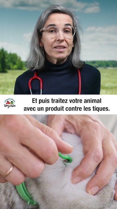 Comment éviter les piqûres de tiques ? - YouTube