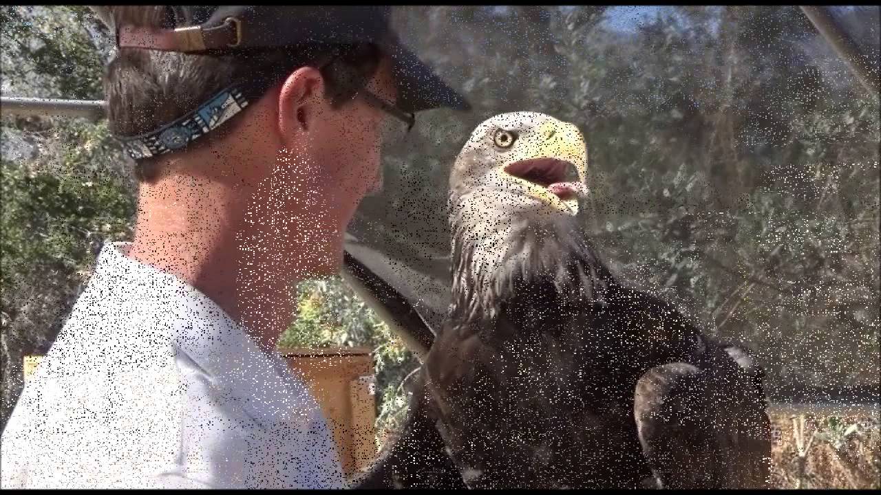 ORC Avalon @ Open House October, 2014 - YouTube