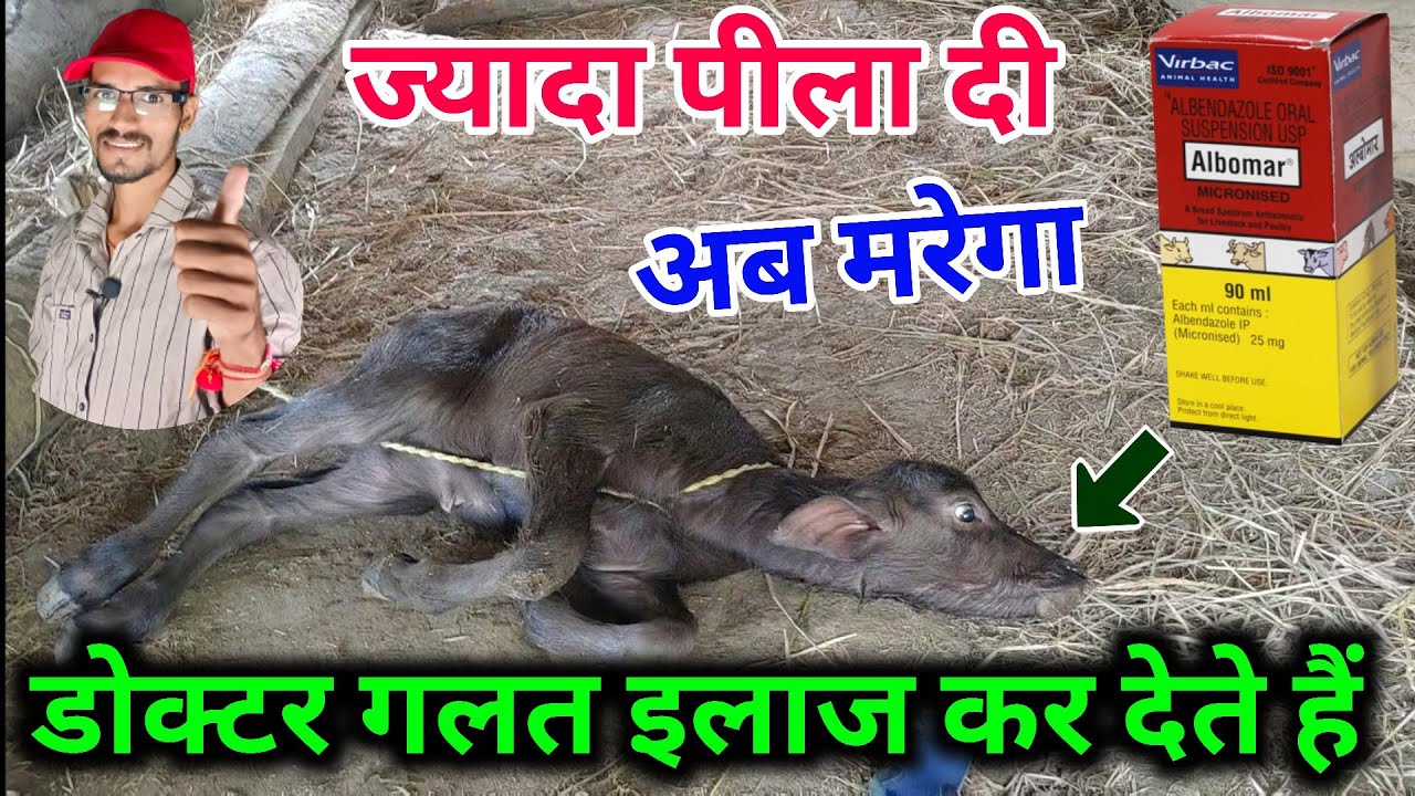 Shocking Albomar Side Effects: albomar madicine | albomar syrup dosage ...