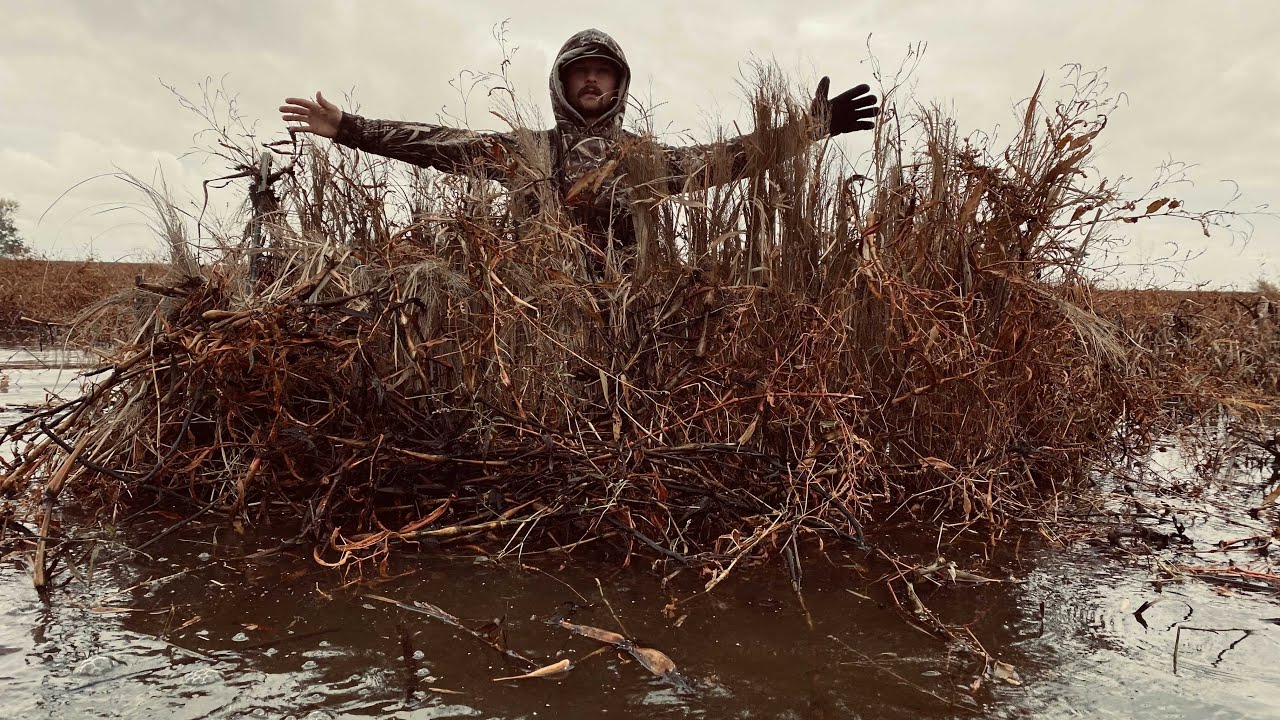 I Used A Homemade Blind On A Public Marsh While Duck Hunting - YouTube