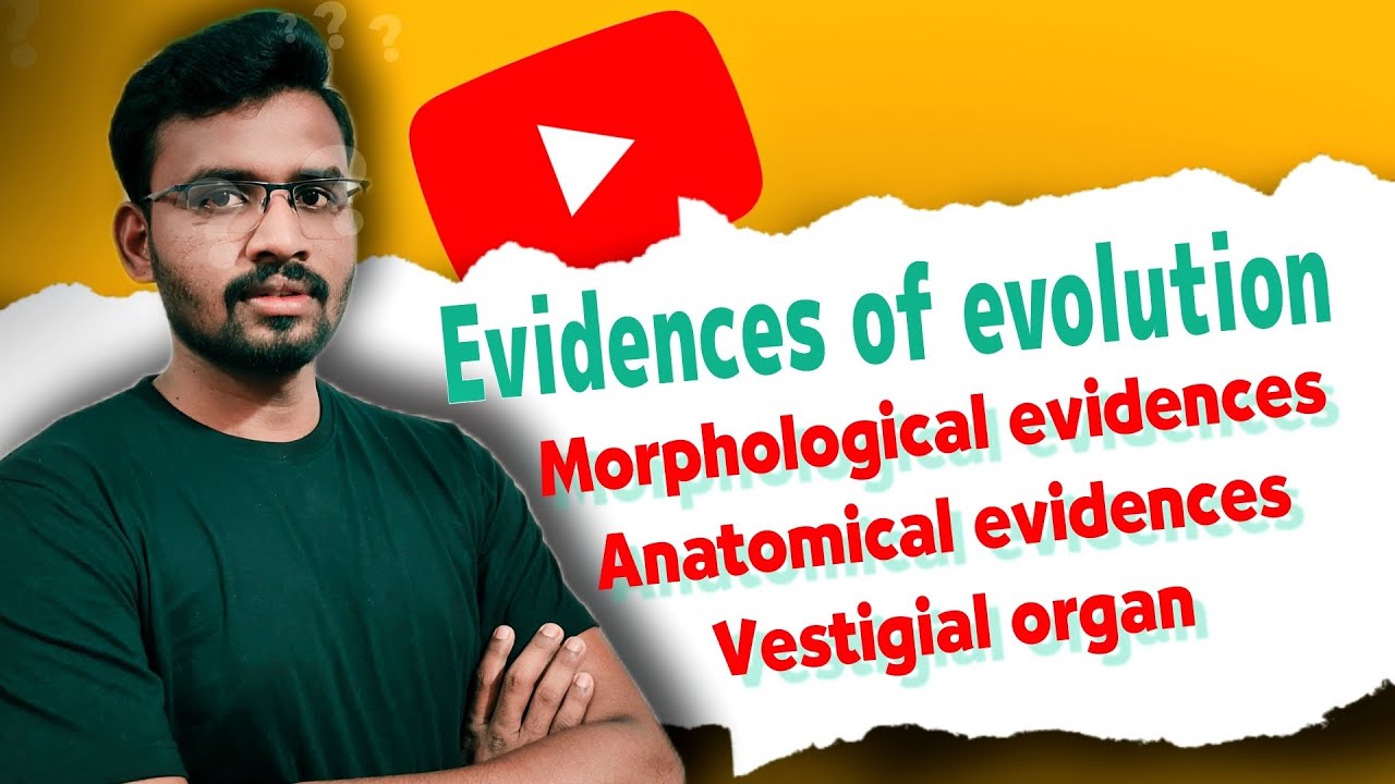 Evidences of evolution| morphological| Anatomical| Vestigial organ ...