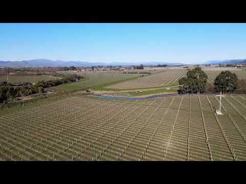 Hillocks Road Vineyard Development
