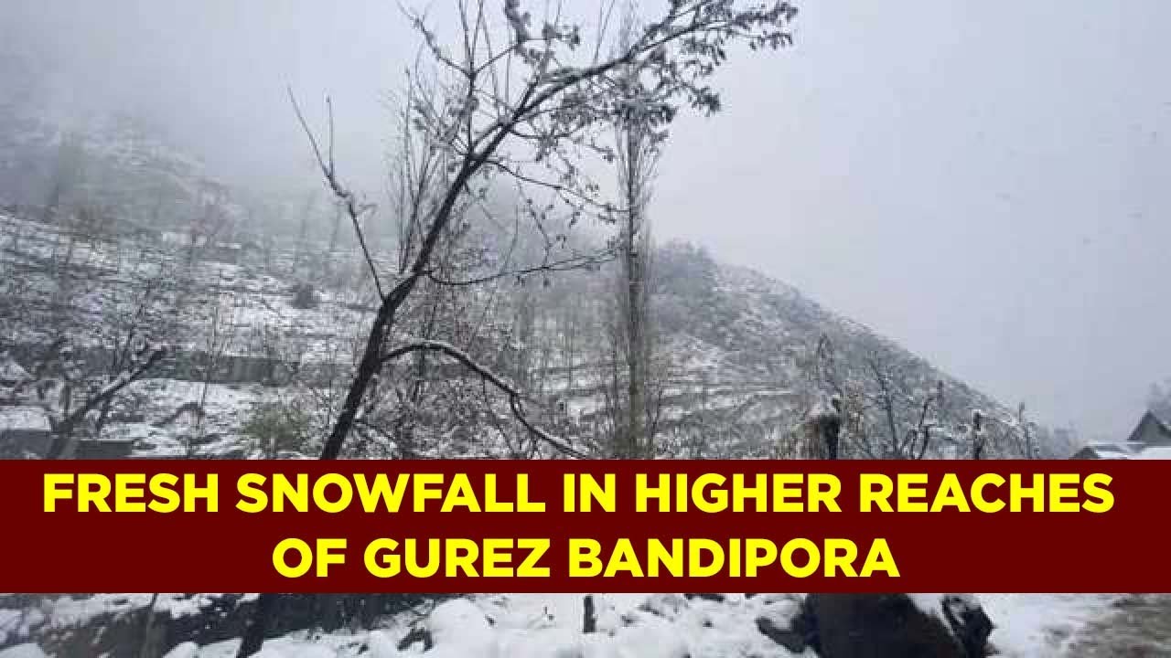 Fresh snowfall in higher reaches of Gurez Bandipora - YouTube