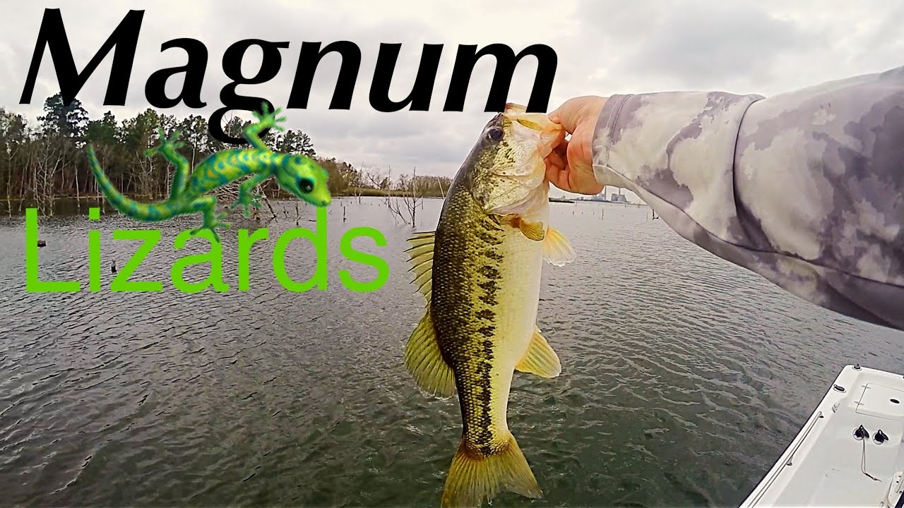 Bass Fishing with MAGNUM Lizards - YouTube