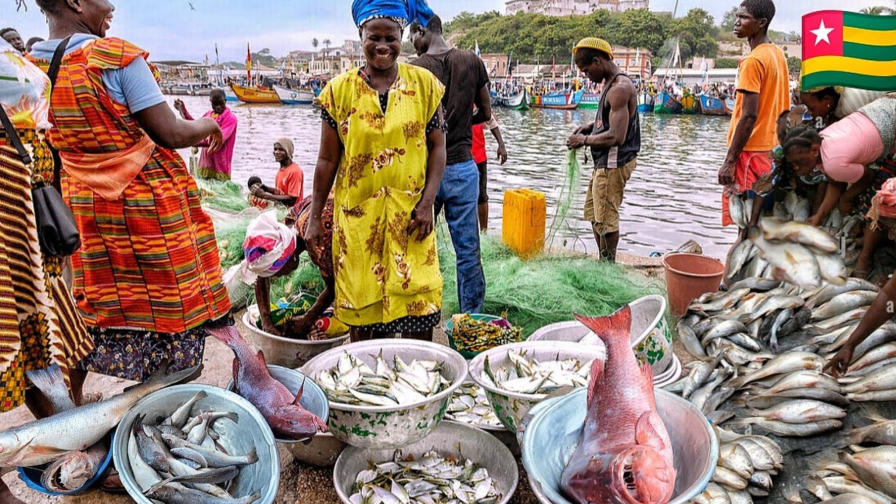 Biggest fishing harbor in Togo west Africa. Shop and cook with me ...