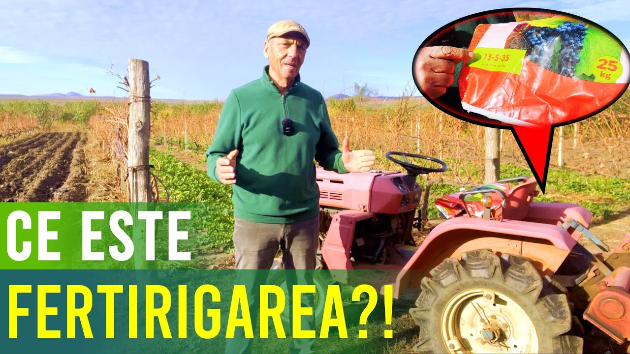 Cum fertilizam si ce ingrasamant folosim la pomi fructiferi, vie si ...