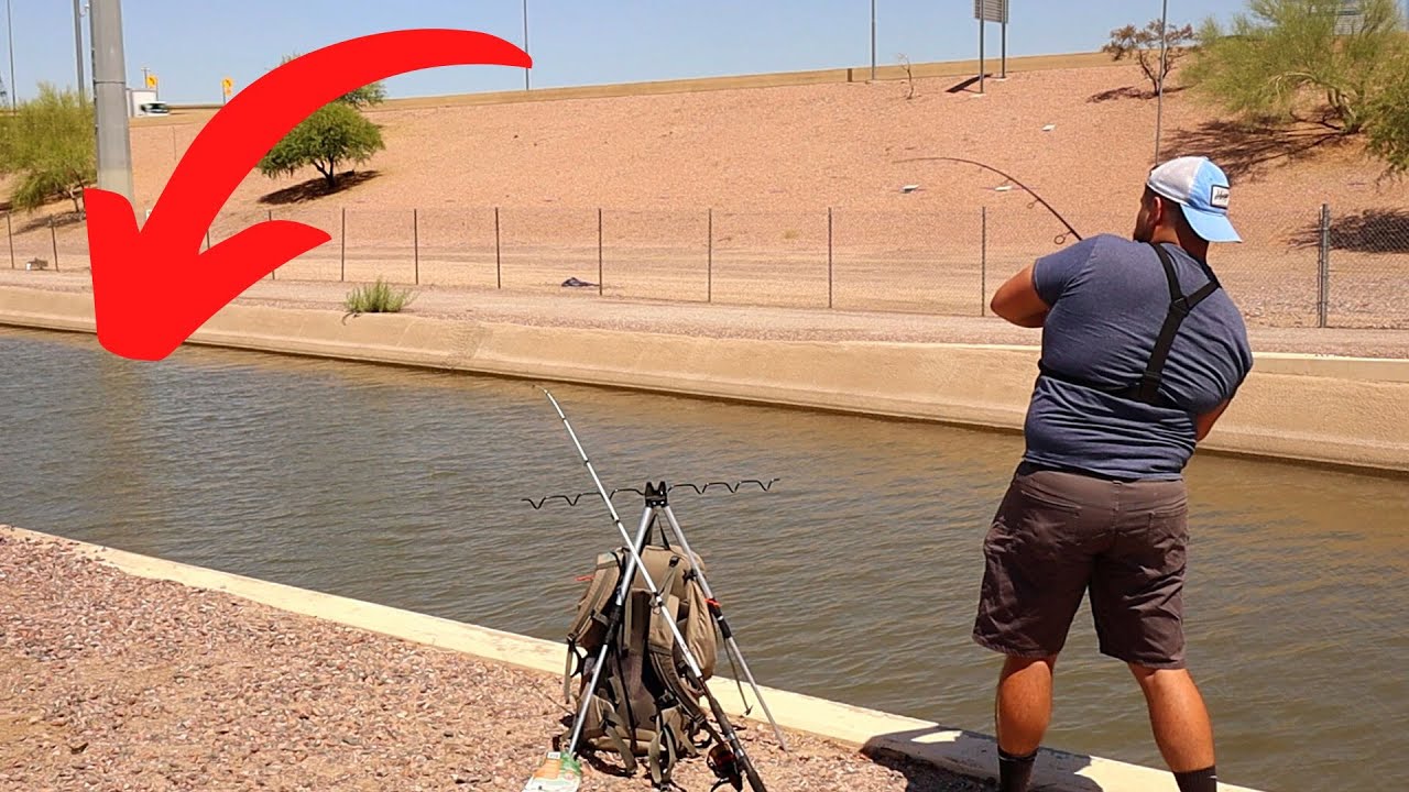 Arizona Canal Fishing for Catfish and Carp - YouTube