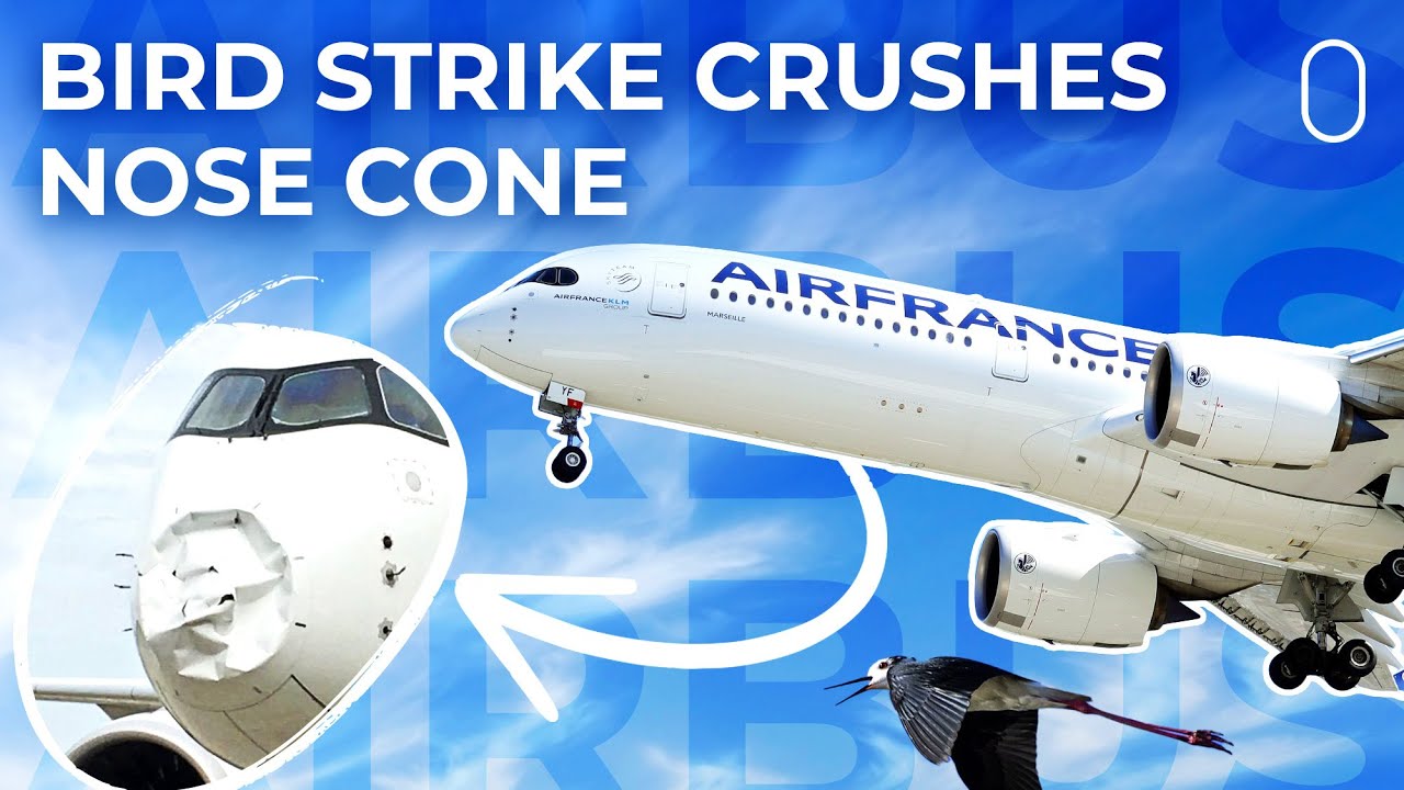 Bird Strike Crushes Nose Of Air France Airbus A350 In Osaka - YouTube