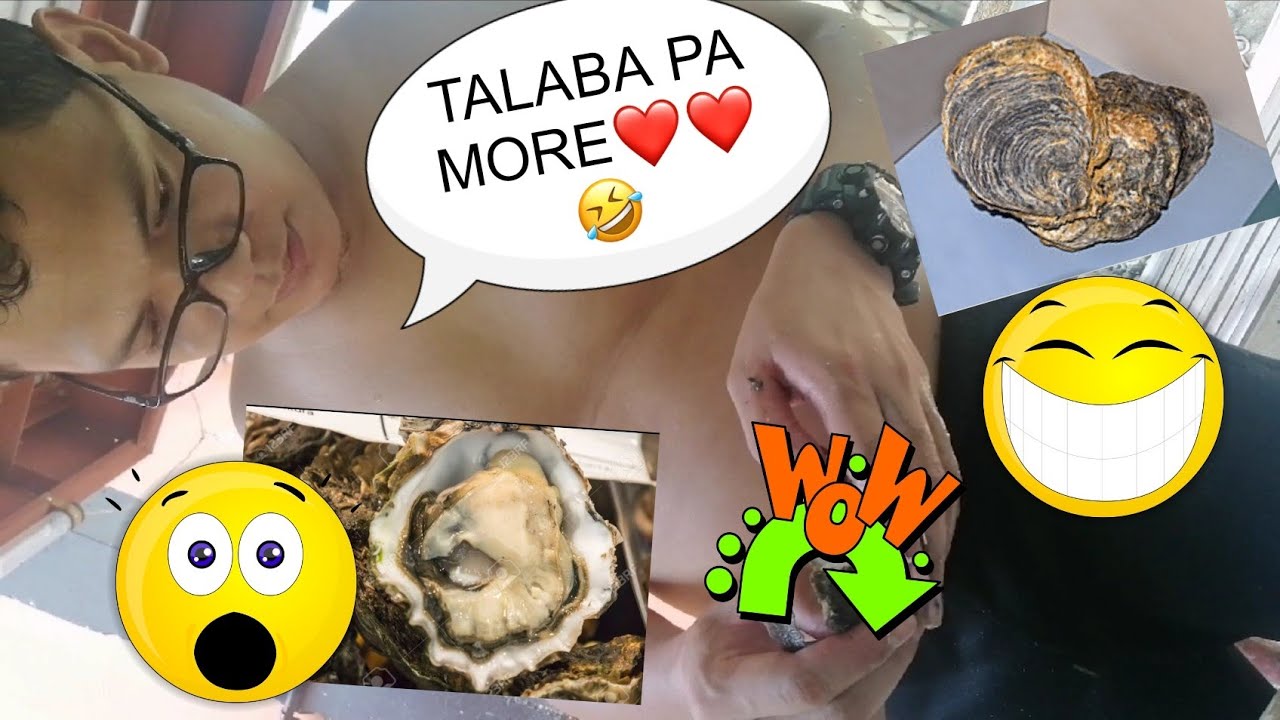 PAANO NGA BA KUMAIN NG TALABA? - YouTube