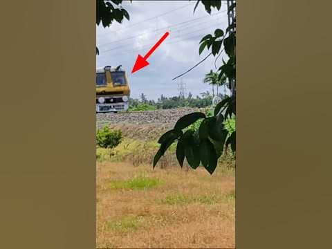 High Speed Local 🚂 at Railgate #shorts #indianrailways #train #railway #trainvideo - YouTube