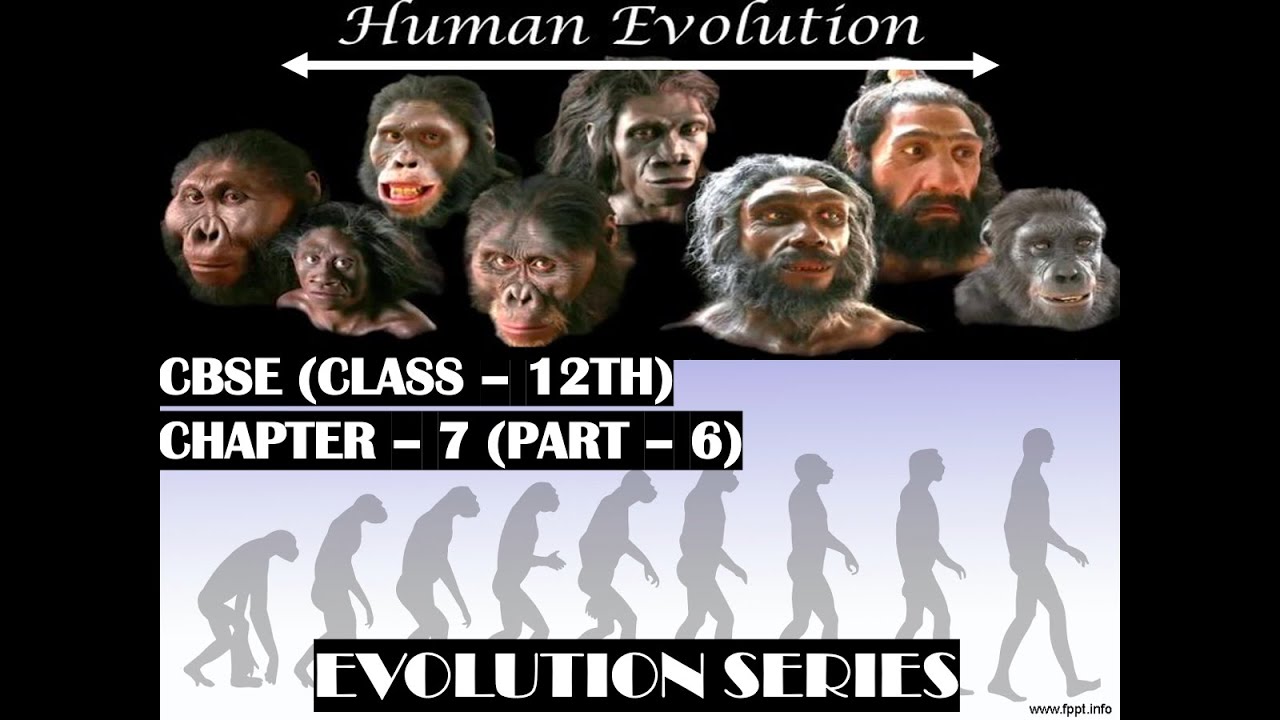 Human Evolution (Part-6) - YouTube