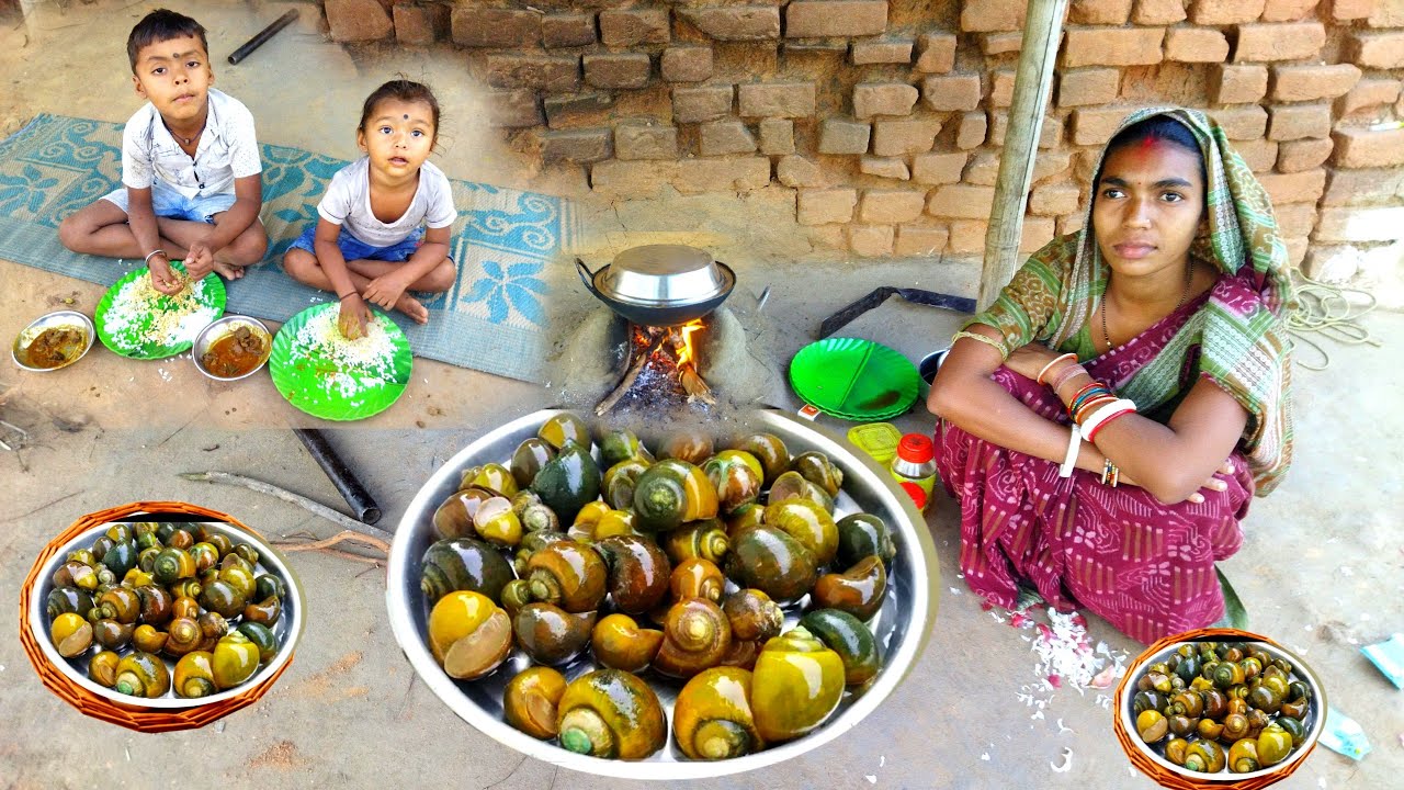 Snail Curry recipe cooking and eating | village cooking | santali ...