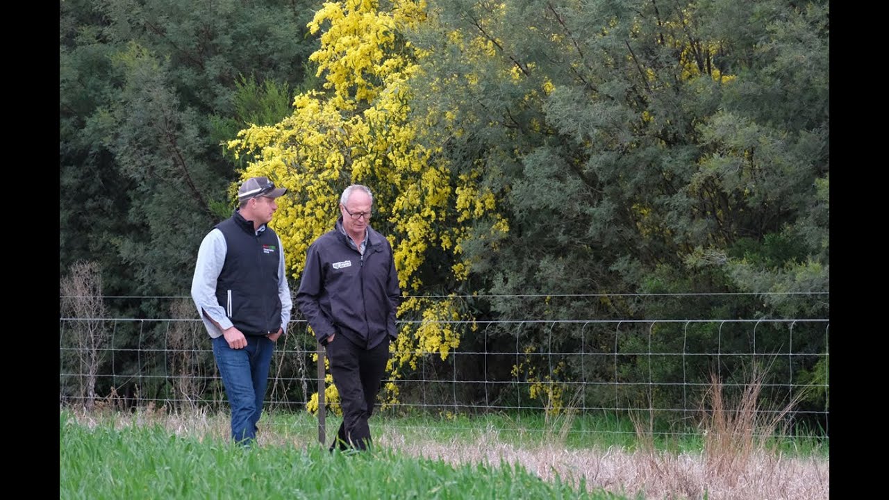 The multiple benefits of shelterbelts: a farmer's perspective - YouTube