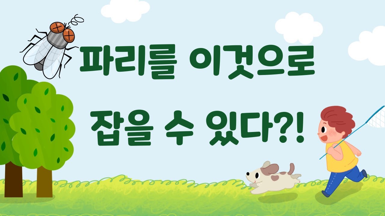 파리를 이것으로 잡을 수 있다 Youtube