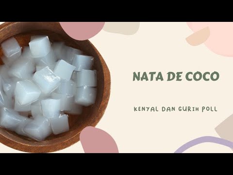 NATA DE COCO DARI NUTRIJEL ?? ENAK BANGETT - YouTube