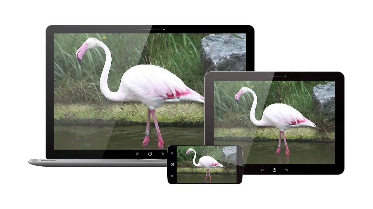 The ShareStream Video Platform Integrated with Brightspace by D2L: For ...