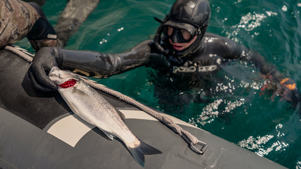 Spearfishing East to West across England - Part 1, Sussex. - YouTube
