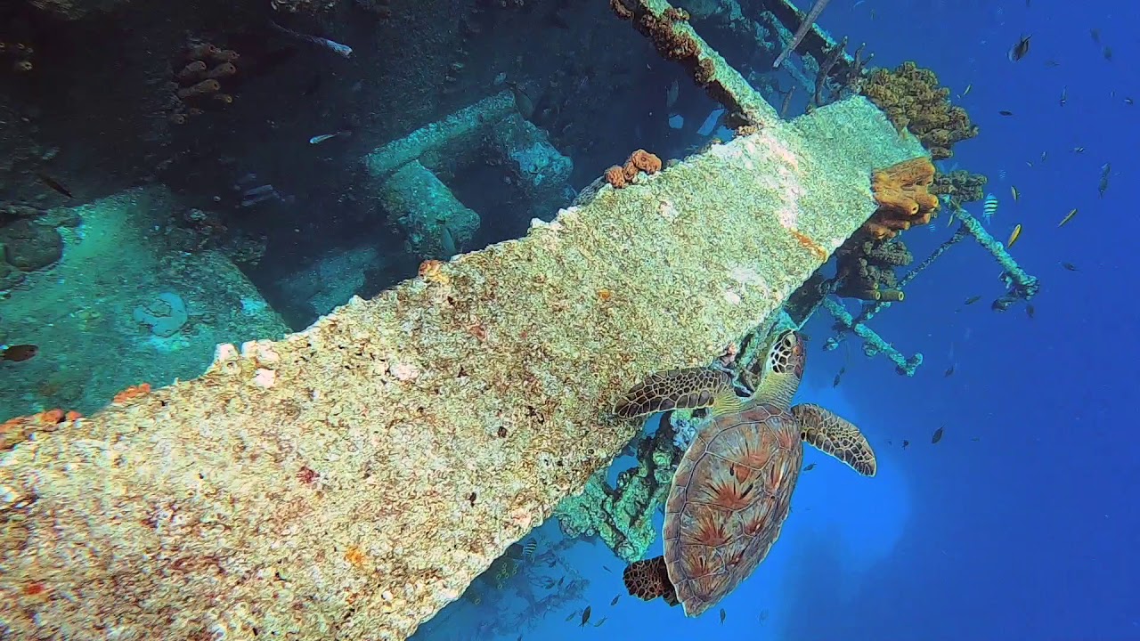 Aruba Antilla Ship Wreck - YouTube