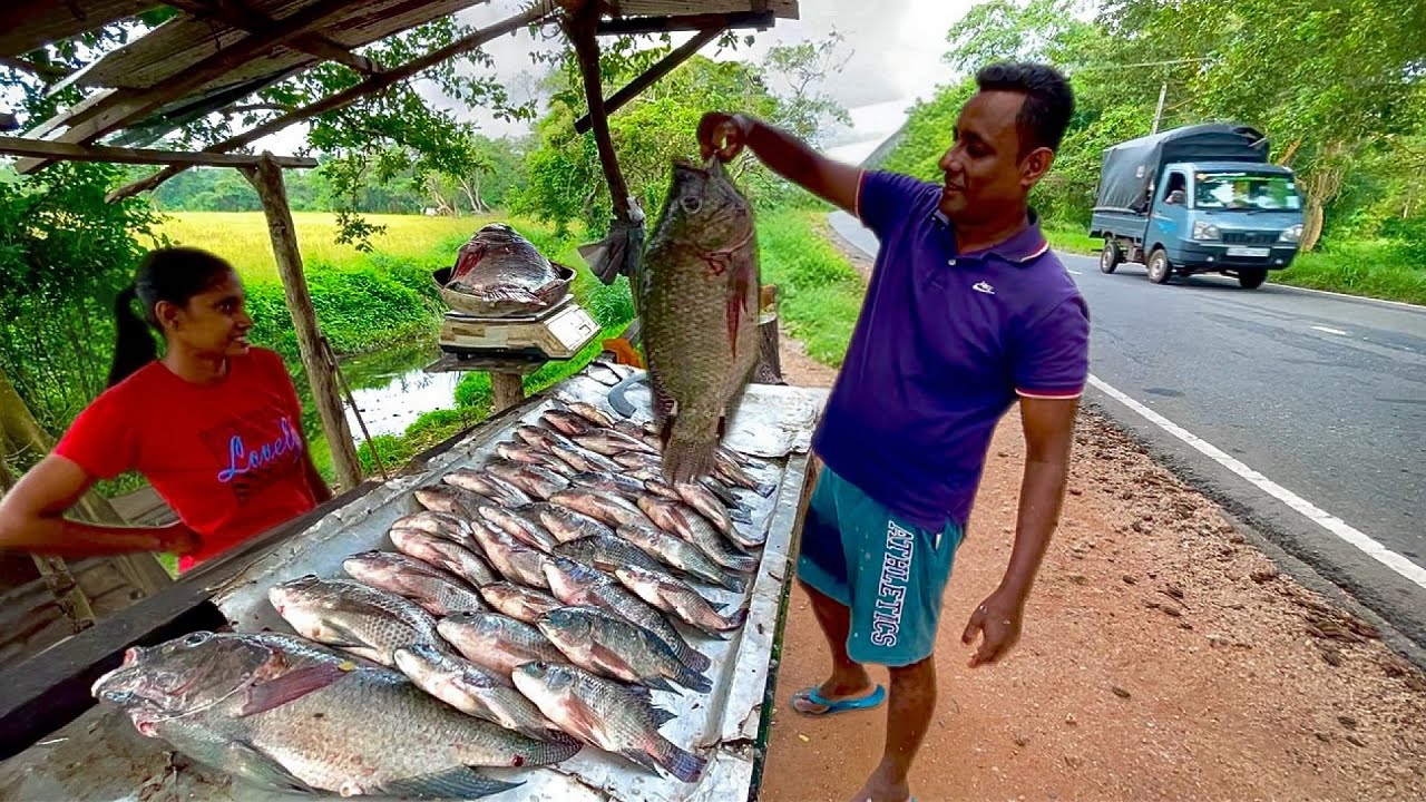 Great! Biggest Street Fish Market Ever In Rural WILDERNESS Village ...