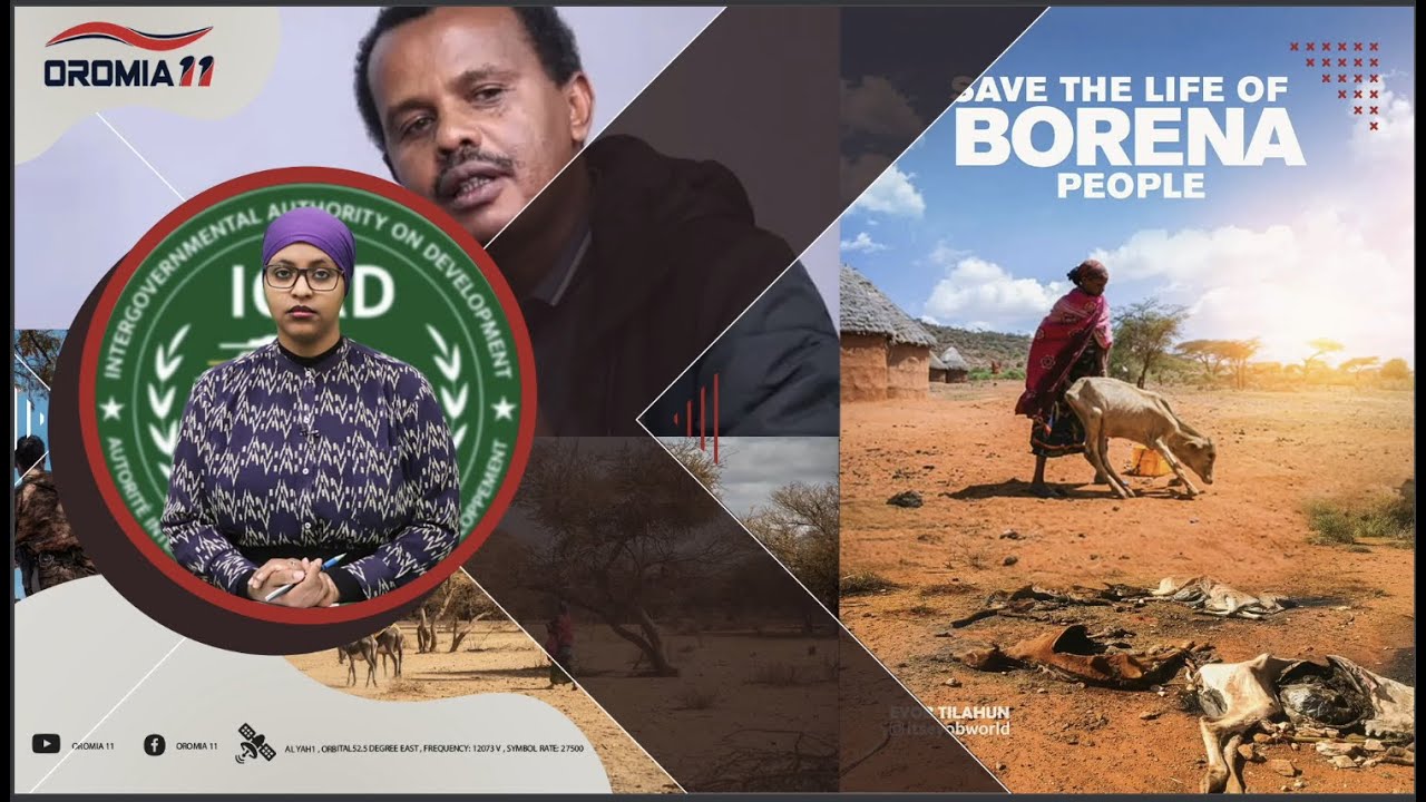 OROMIA11: ሰሞነኛ መረጃ_2-24-2023 - YouTube