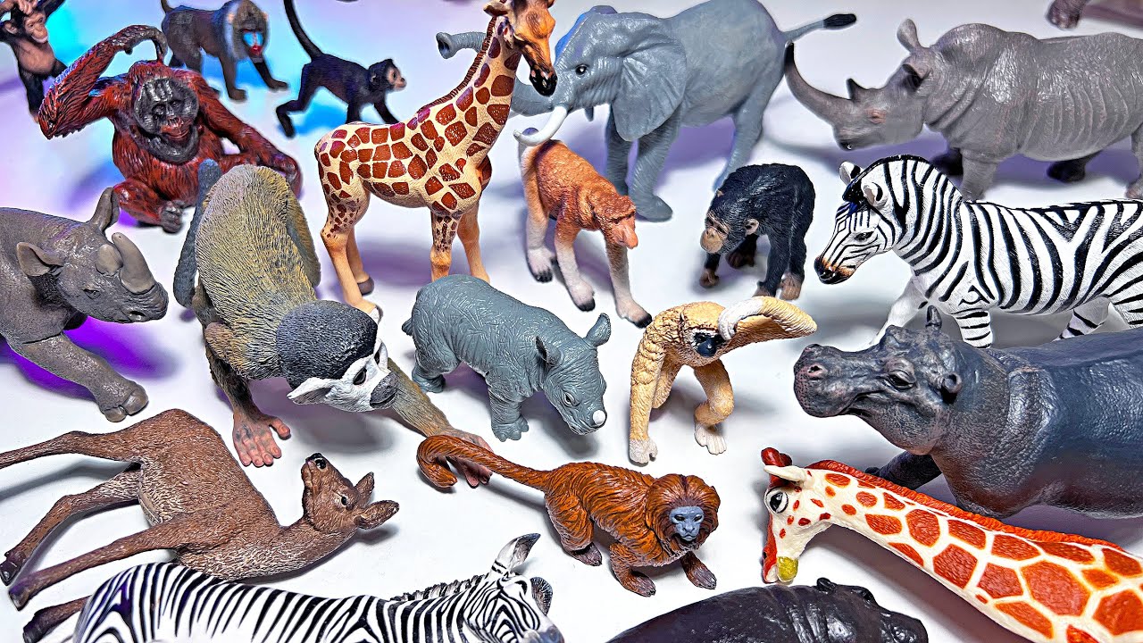 New African Animals, Deers, Primates, Chimpanzee, Giraffe, Gorilla ...