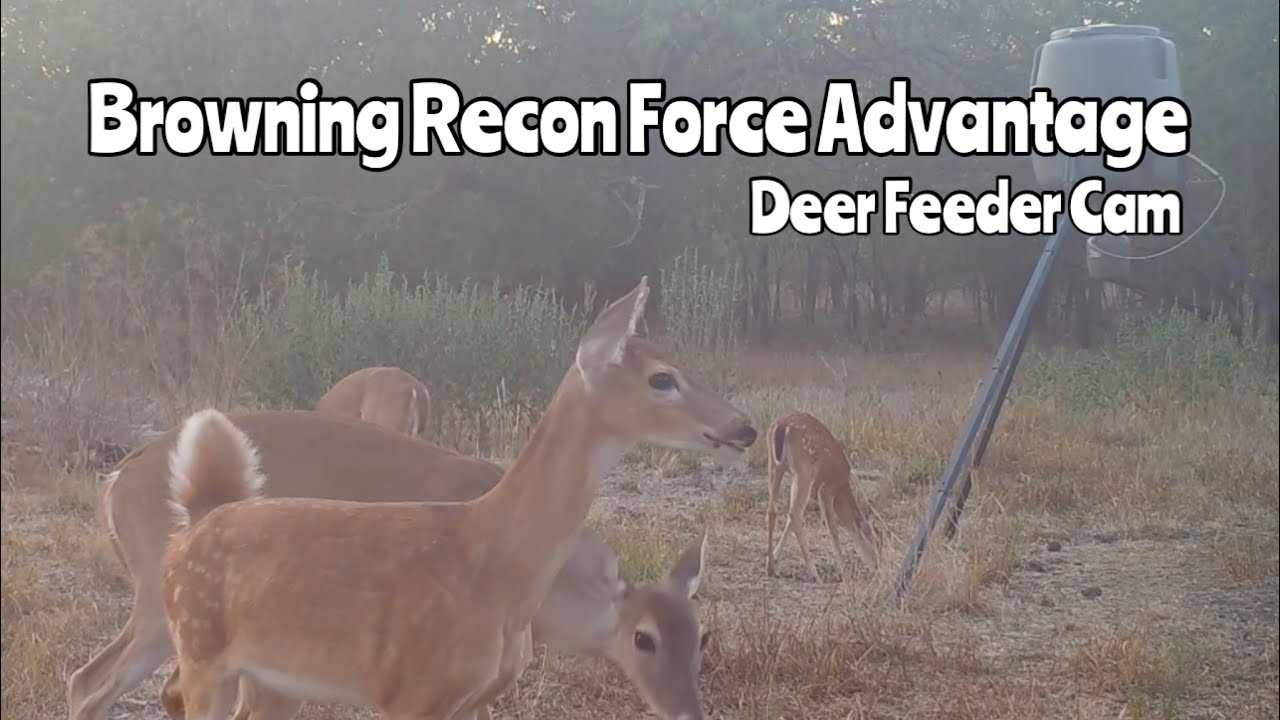 Deer Feeder #1: Browning Recon Force Advantage: Oct. 1-3, 2023 - YouTube