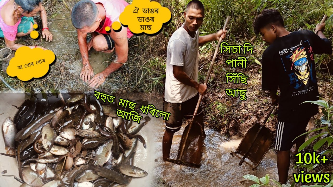 মাছ মাৰিব জাওঁ আজি !! fishing catching!! assamese vlog !! sanjib sb ...