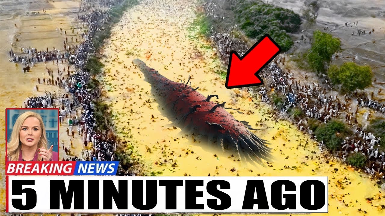 New Horrifying Discovery Found In The Jordan River That Terrified The ...