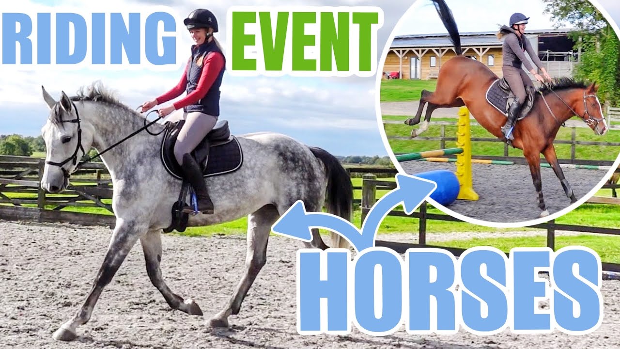 RIDING HORSES I'VE NEVER MET ~ Pony day out with G to jump some event ...