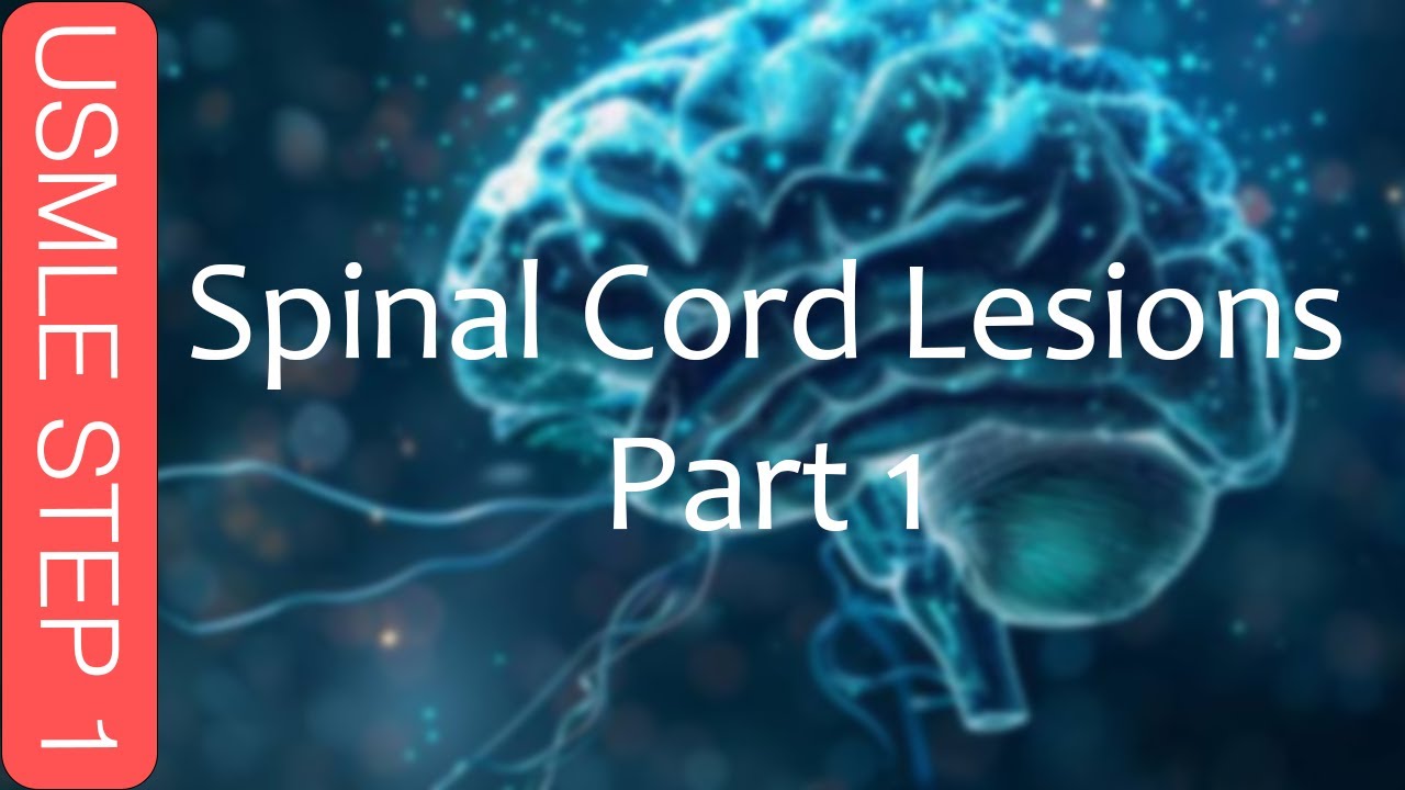 USMLE Step 1 - Spinal Cord Lesions Pt. 1 - YouTube