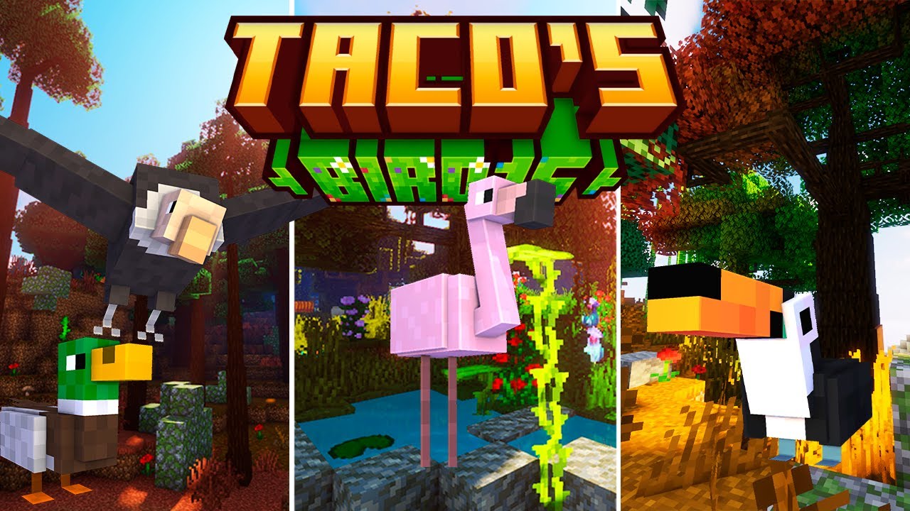 TACO'S BIRDS NOVA ATUALIZAÇÃO DOS ANIMAIS DO MINECRAFT 1.20.1 ...