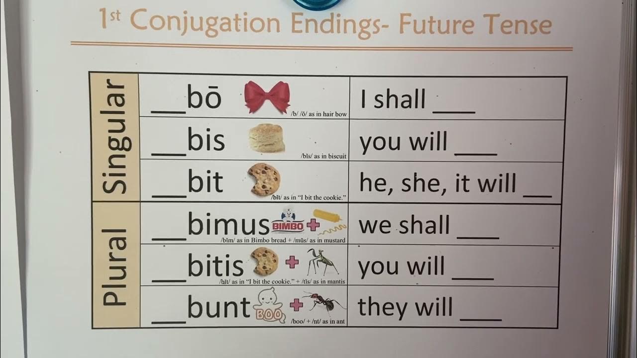CC Cycle 2 week 5, 6, 17, 18 Latin 1st Conjugation Future Tense with ...